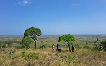 Real Estate Company in Diani, Kenya - TGAI LTD