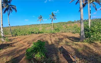 Real Estate Company in Diani, Kenya - TGAI LTD