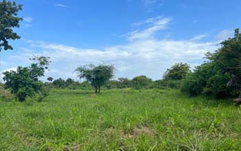 Real Estate Company in Diani, Kenya - TGAI LTD